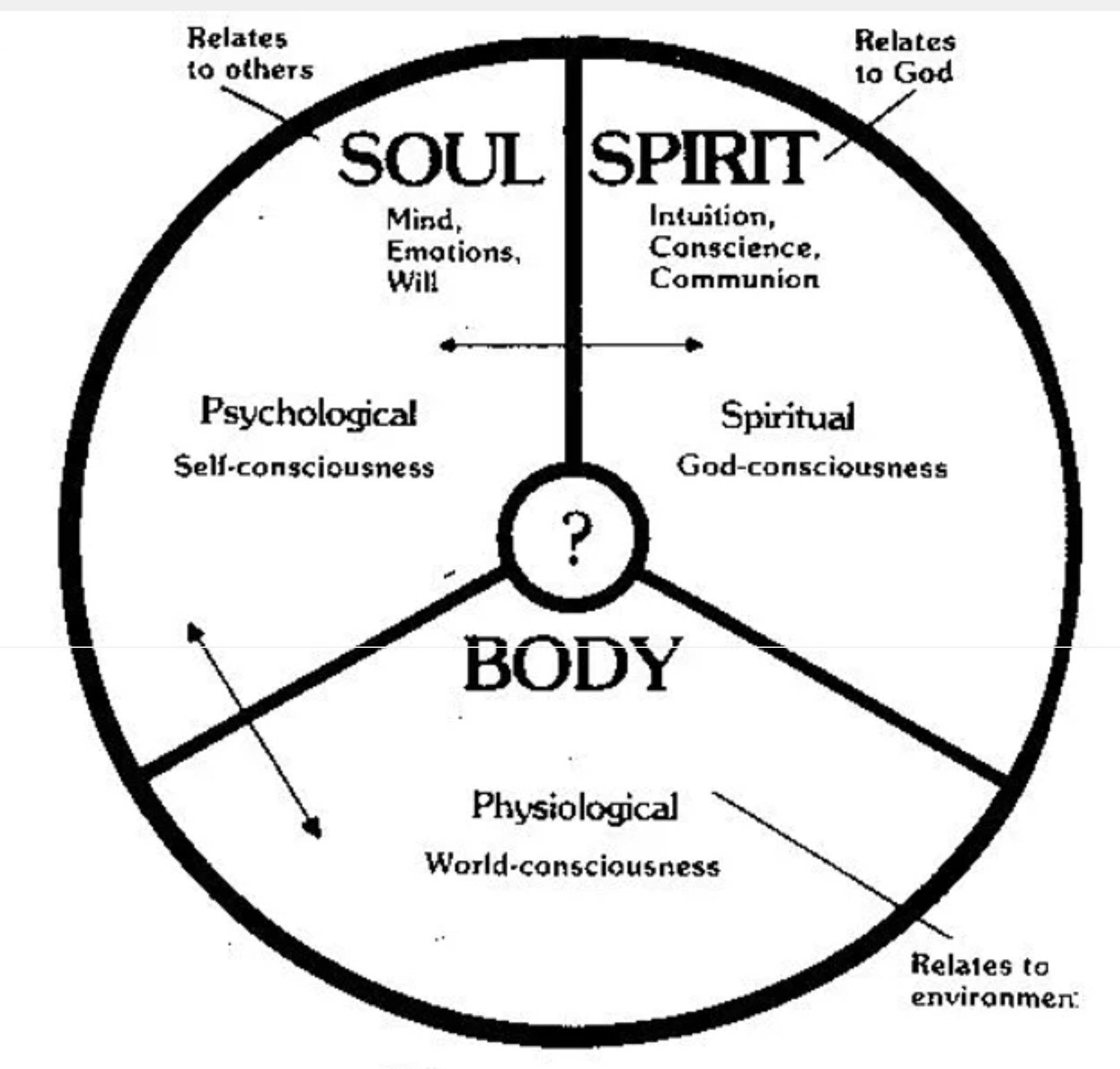 The Three Parts Of A Human – From Pity to Praise