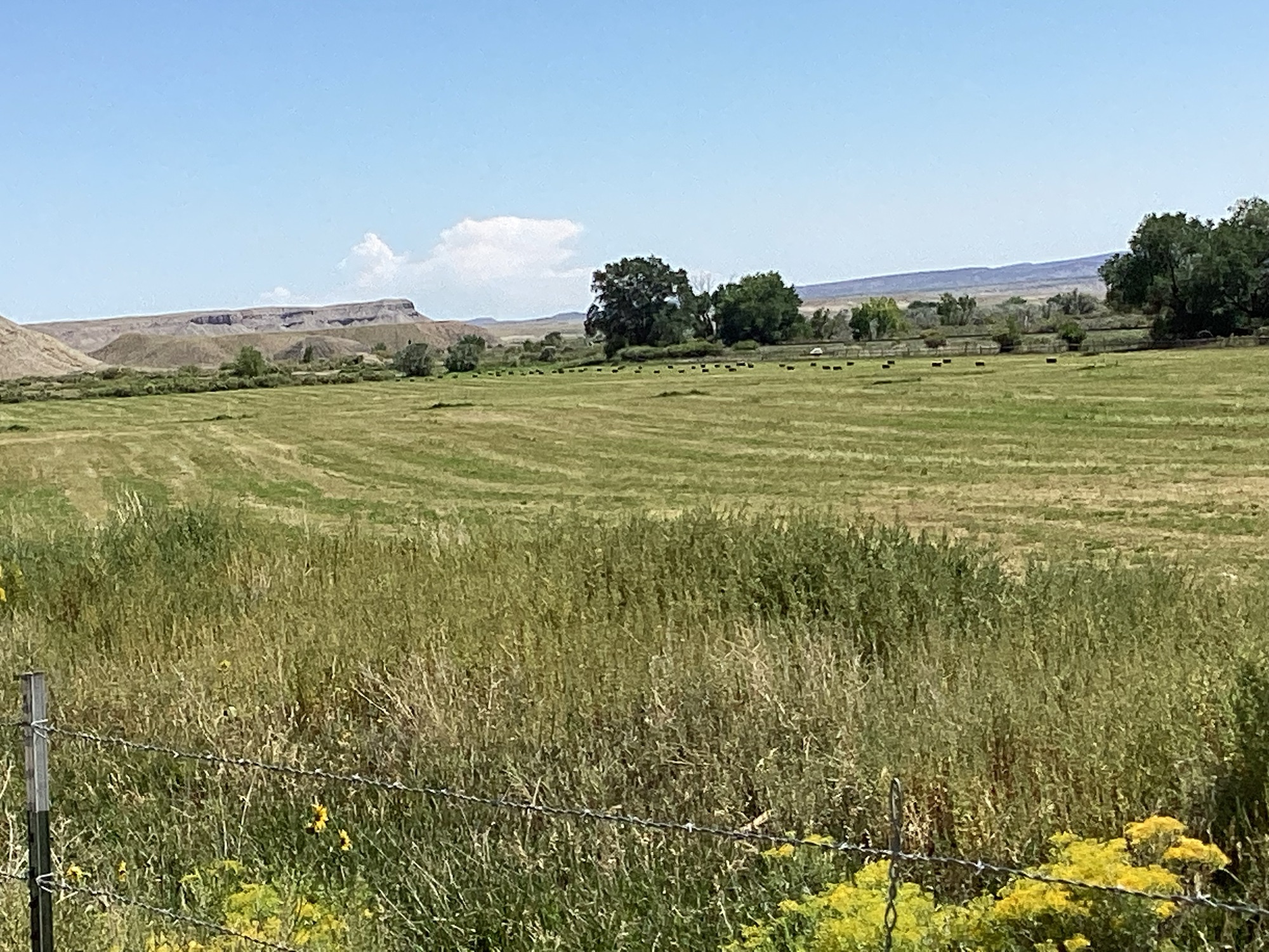 Who’s In Charge? – From Pity to Praise