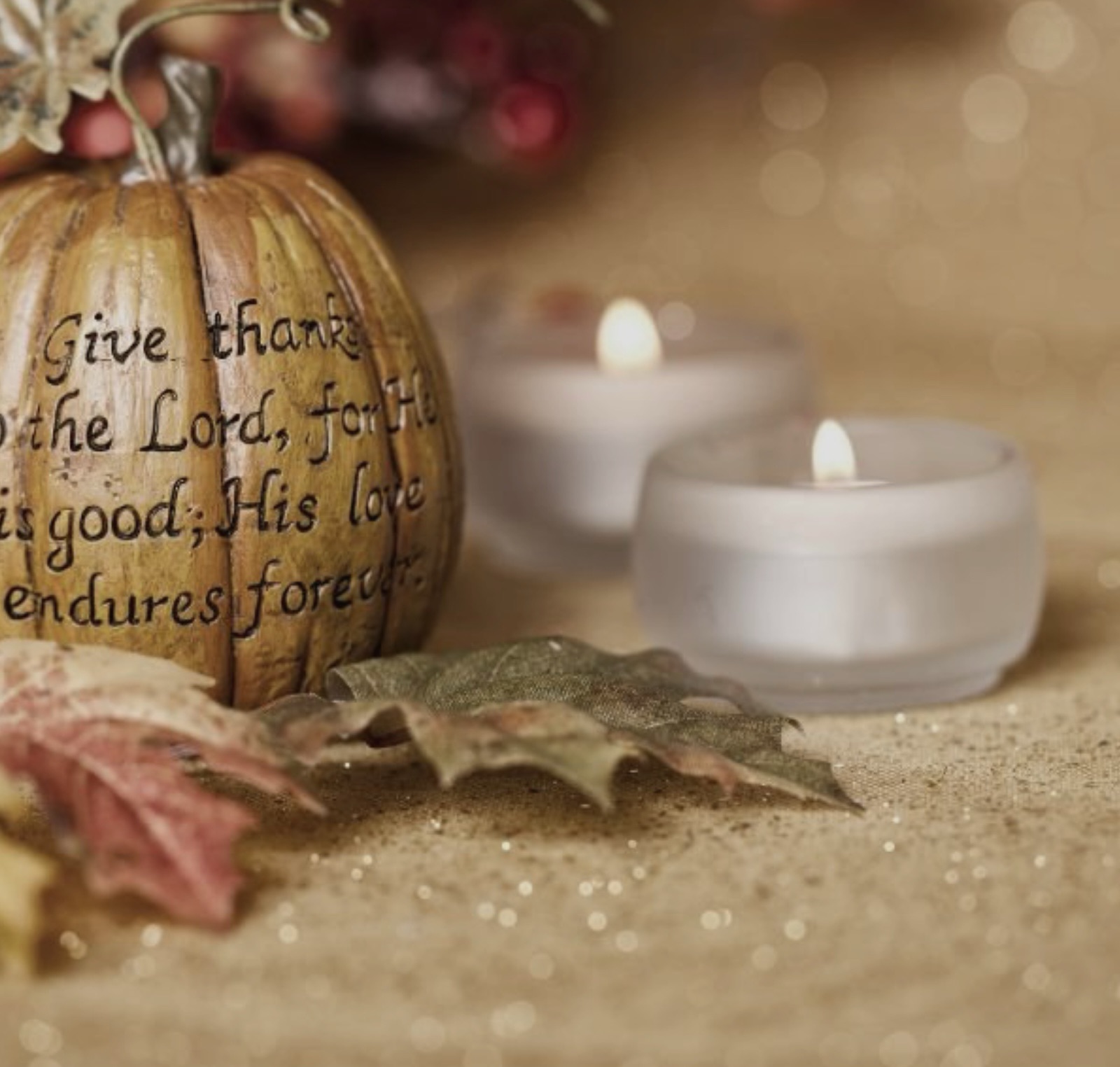 Happy Thanksgiving – From Pity to Praise