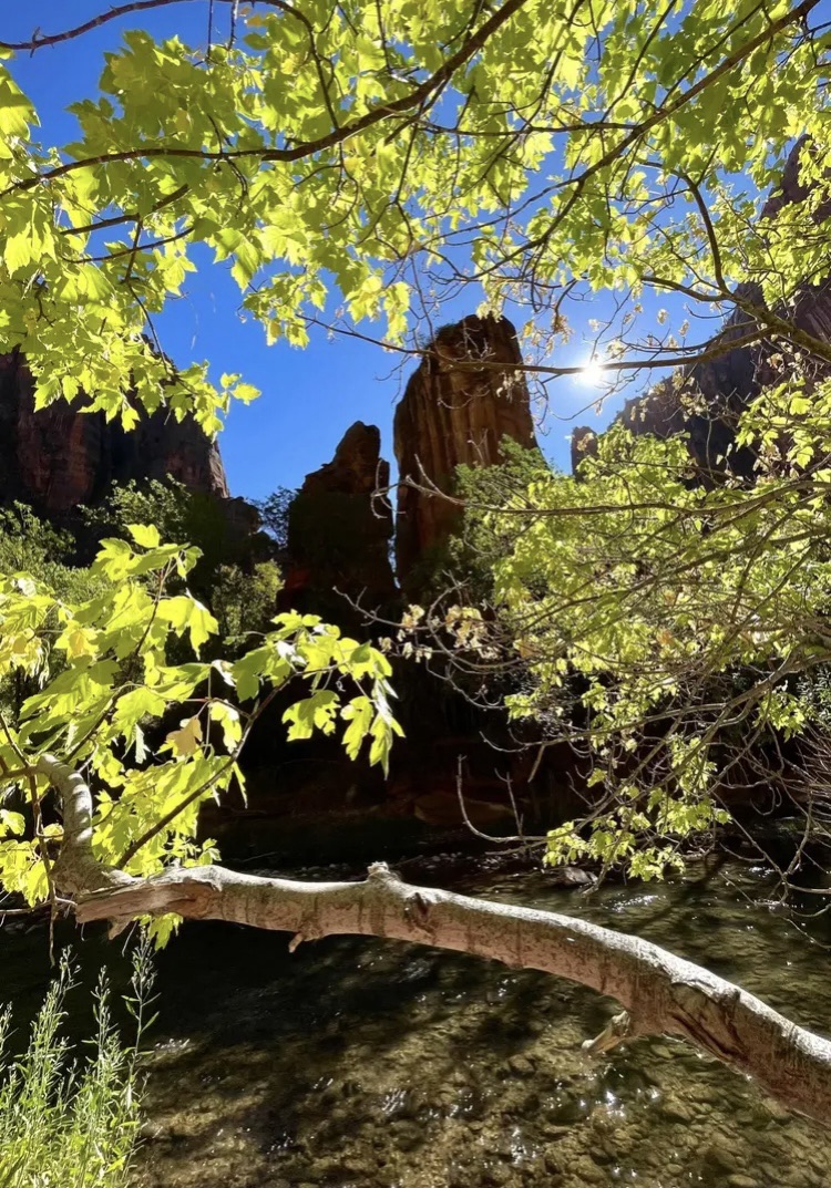 Rooted In Christ – From Pity to Praise