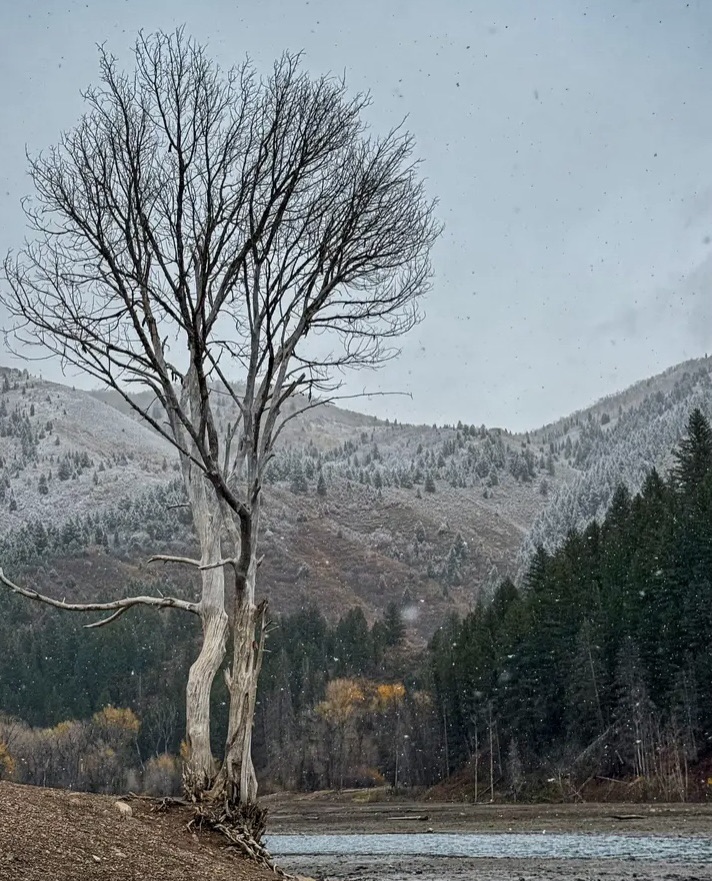 Don’t Allow Your Circumstances To Define You – From Pity to Praise