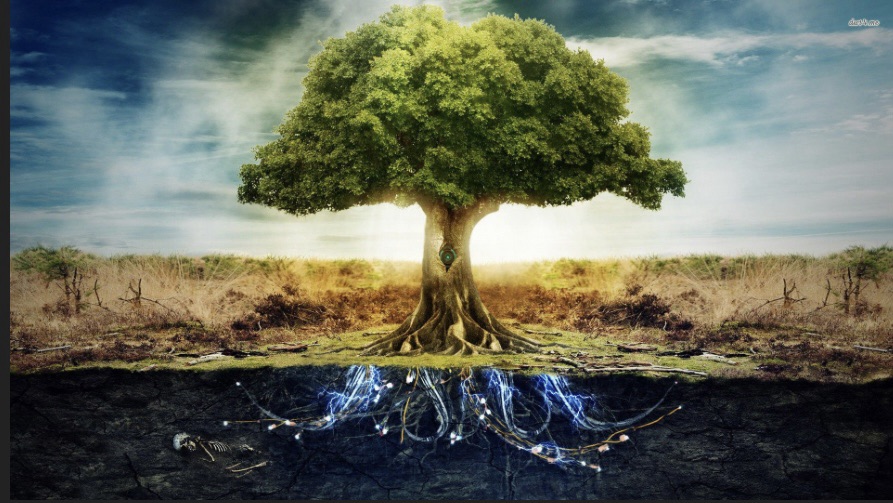 The Tree Of Death That Brings Life – From Pity to Praise