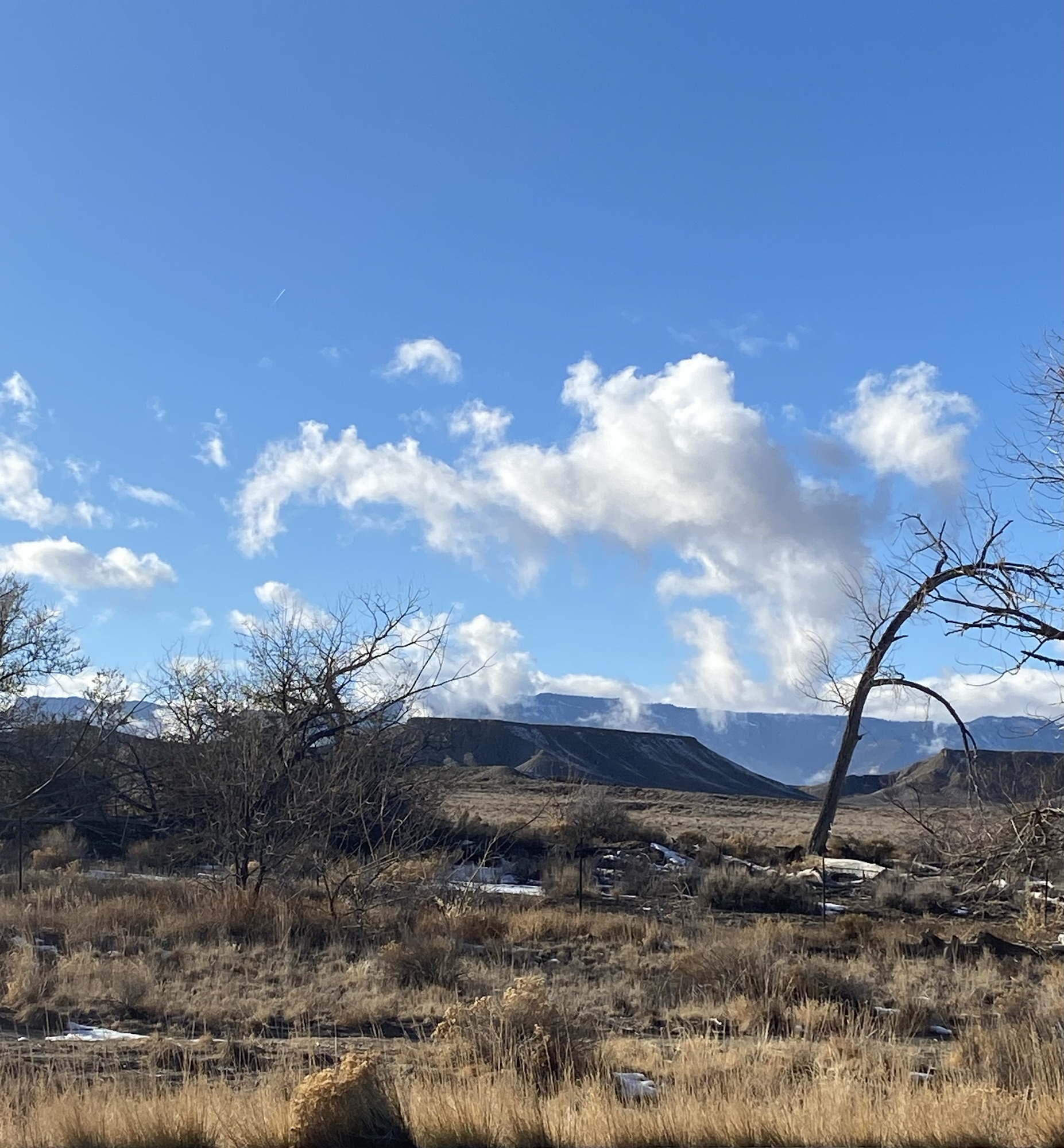 Thinking Like Jesus – From Pity to Praise