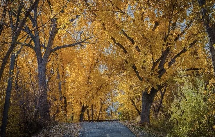 Trusting God’s Promises – From Pity to Praise